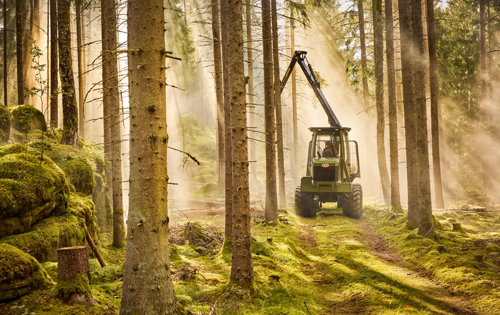 FARMA LF8 Forvarder – Kompaktne metsaforvarder | Voonamäe Grupp OÜ